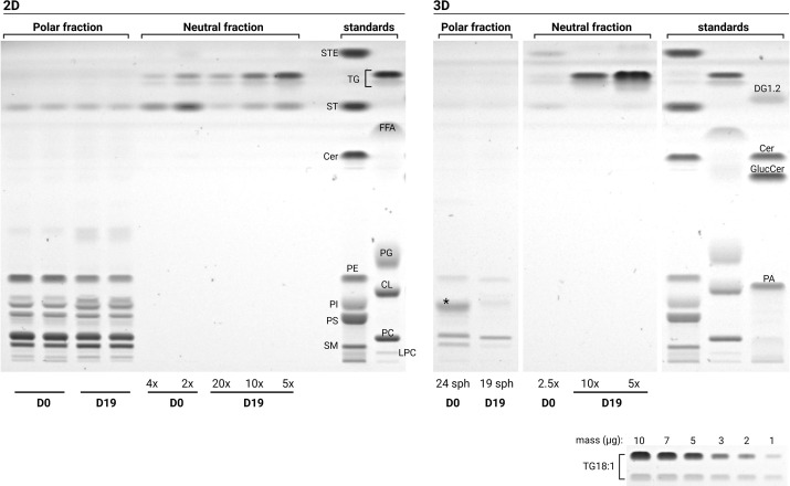 Separation of polar and neutral lipids from mammalian cell lines by ...
